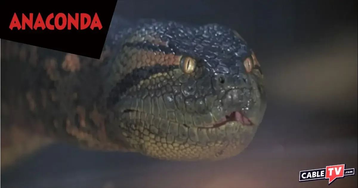 Anaconda Movies: The Ultimate Watch Order & Streaming Guide